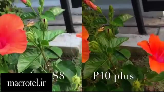 مقایسه دوربین Galaxy S8وHuawei P10 Plusدرmacrotel.ir - نماشا